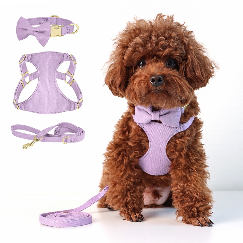 Didog No Pull Small Dog Cat Harness Collar Leash Set Cute Bowtie ...