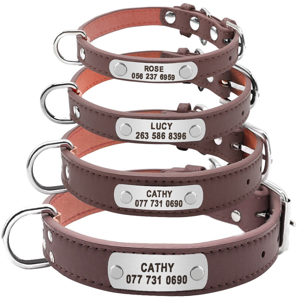 Didog Personalized Leather Dog Collars with Custom ID Nameplate with D ...