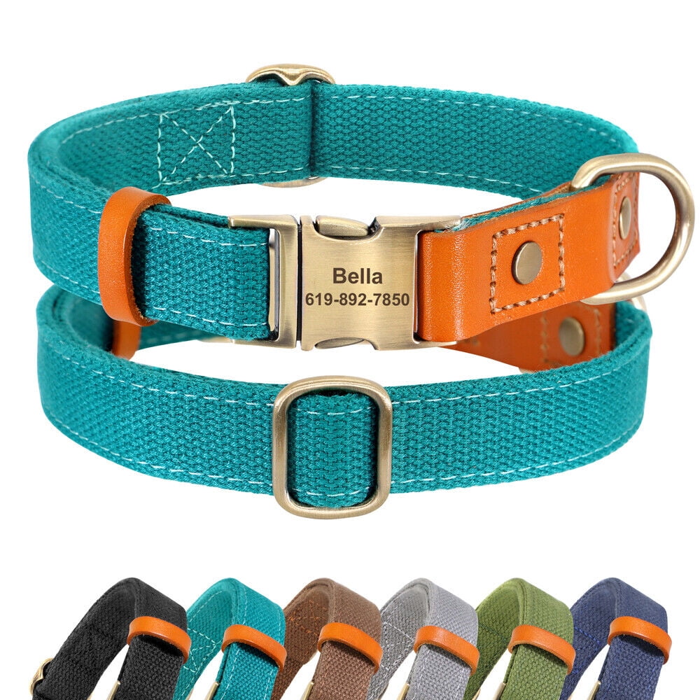Didog Personalized Nylon & Leather Dog Collar Brass Buckle Name ...