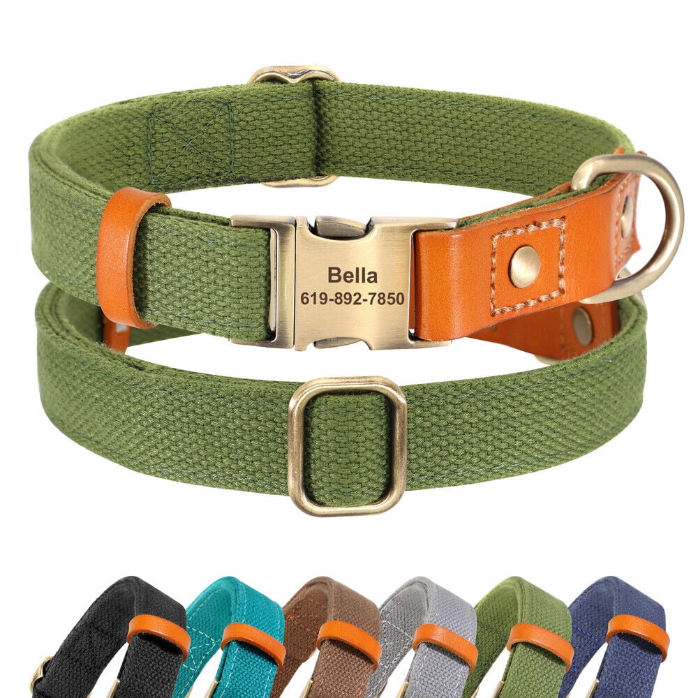 Didog Personalized Nylon & Leather Dog Collar Brass Buckle Name ...