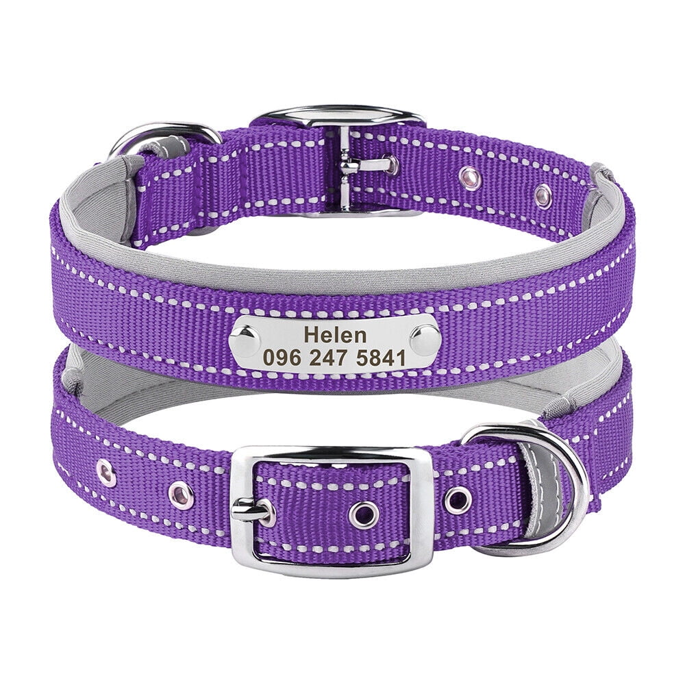 Didog Reflective Soft Padded Nylon Personalized Dog Collar Adjustable ...