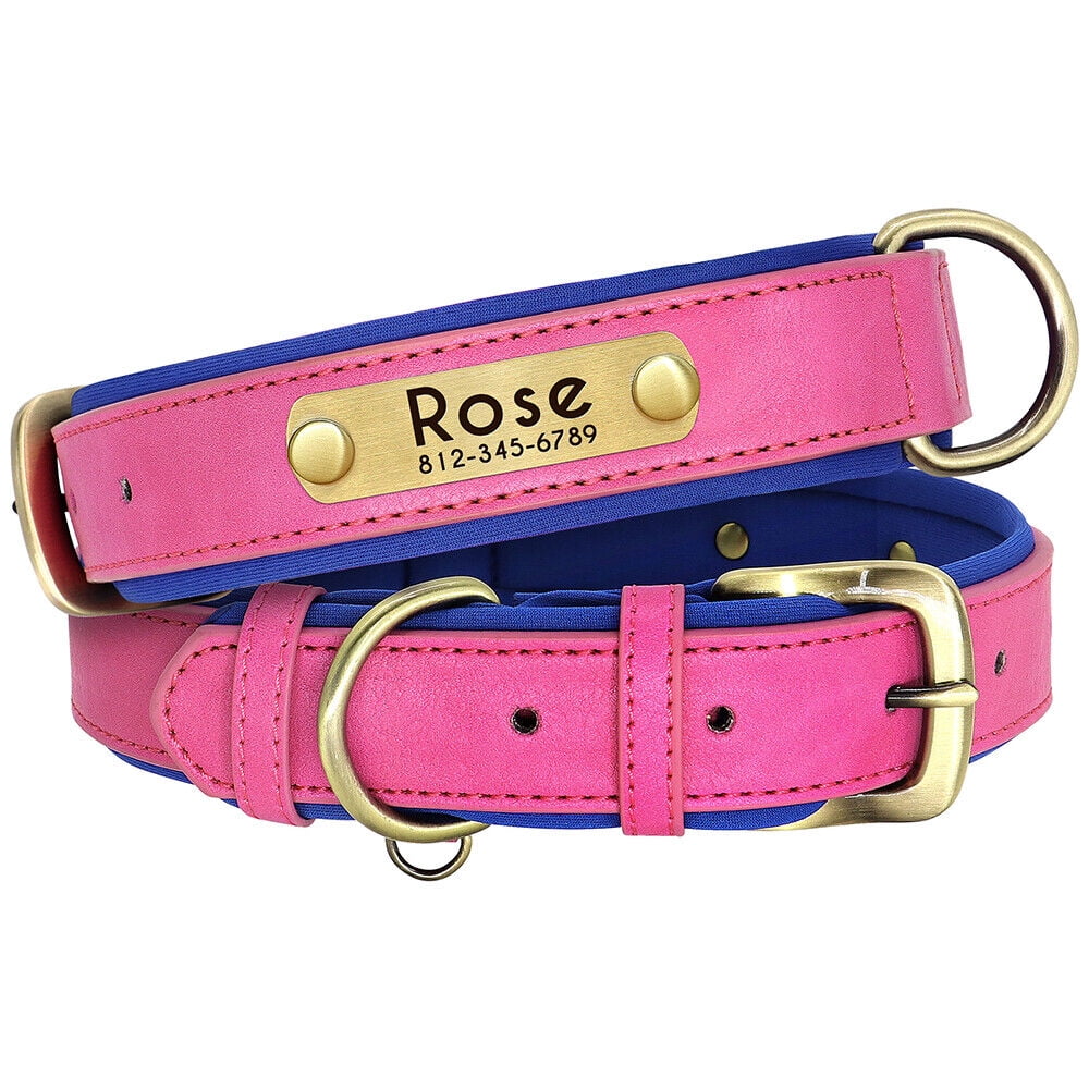 Didog Soft Leather Padded Dog Collar Customized Personalized Adjustable ...