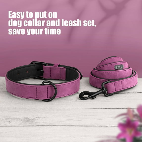 Didog Soft Padded Adjustable Dog Collar and Leash Set - PU Leather ...