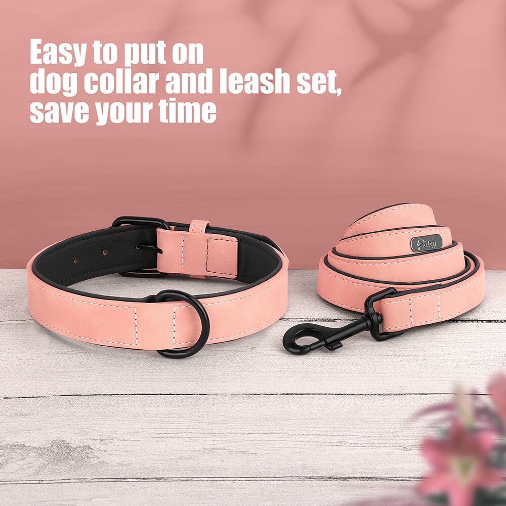 Didog Soft Padded Adjustable Dog Collar and Leash Set - PU Leather ...