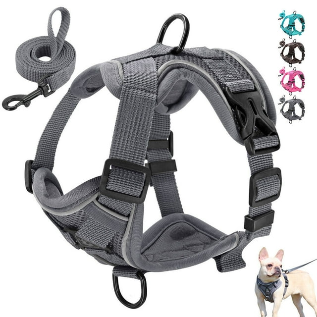 Didog Step In Reflective Dog Cat Harness and Leash set Choke-Free Mesh ...