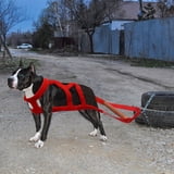 Didog Strong Dog Weight Pulling Harness Heavy Duty Padded Pet Sledding ...