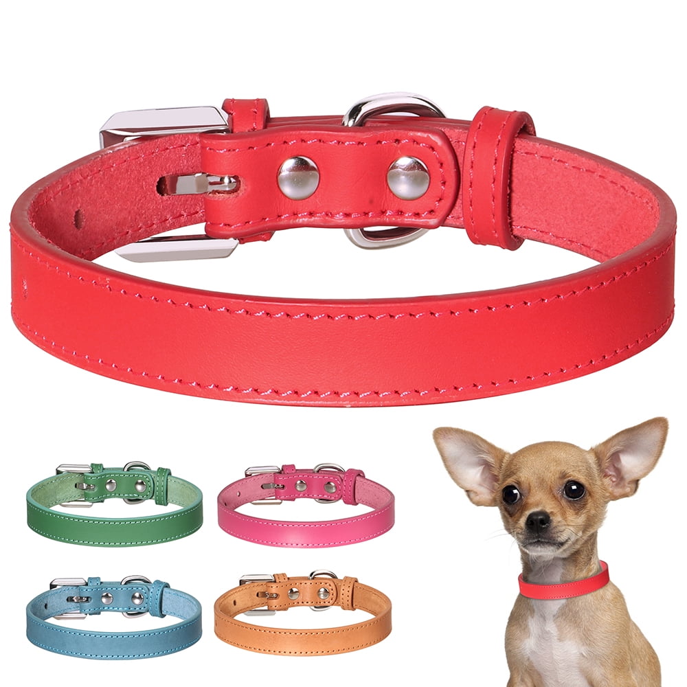 Didog Thin Plain Leather Dog Collar for Small Dogs Pet Puppy Cat ...