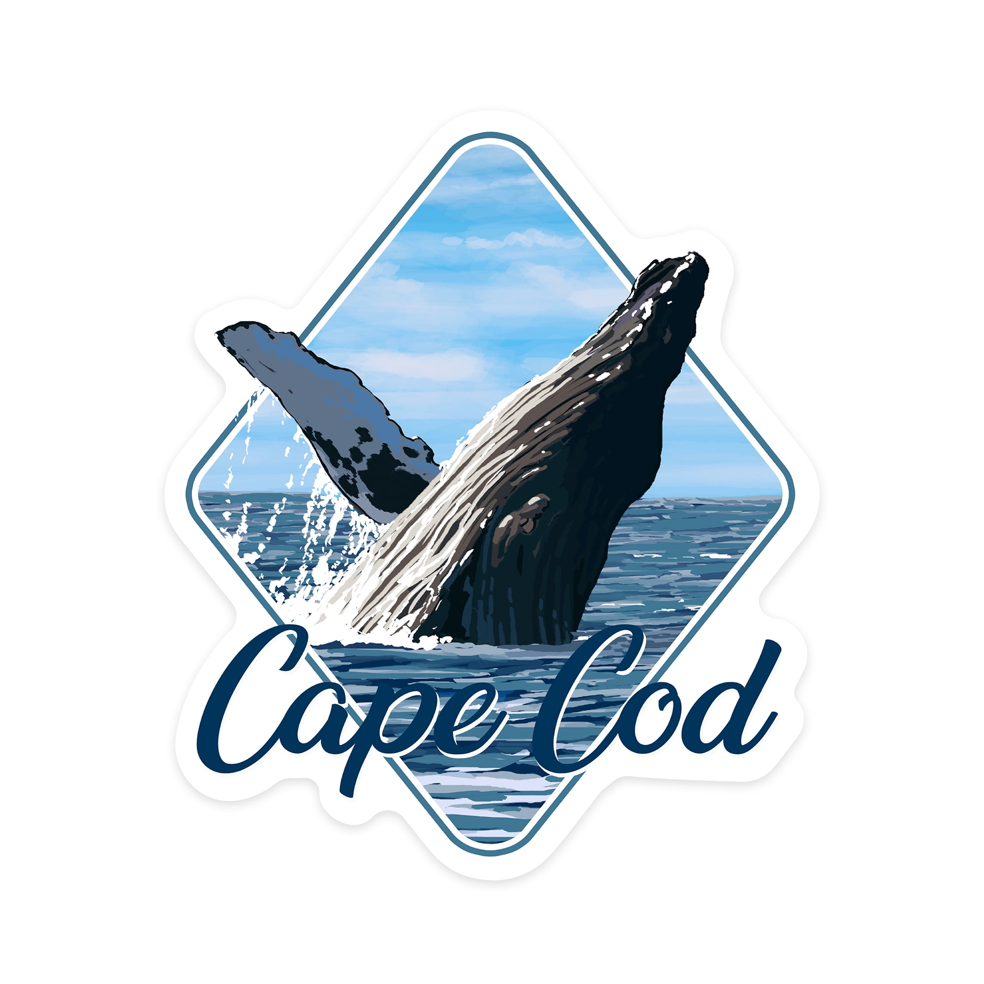 Die Cut Sticker Cape Cod, Massachusetts, Humpback Whale, Contour Vinyl ...
