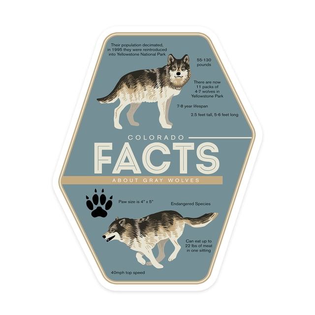 Die Cut Sticker Colorado, Facts About Gray Wolves, Contour Vinyl ...