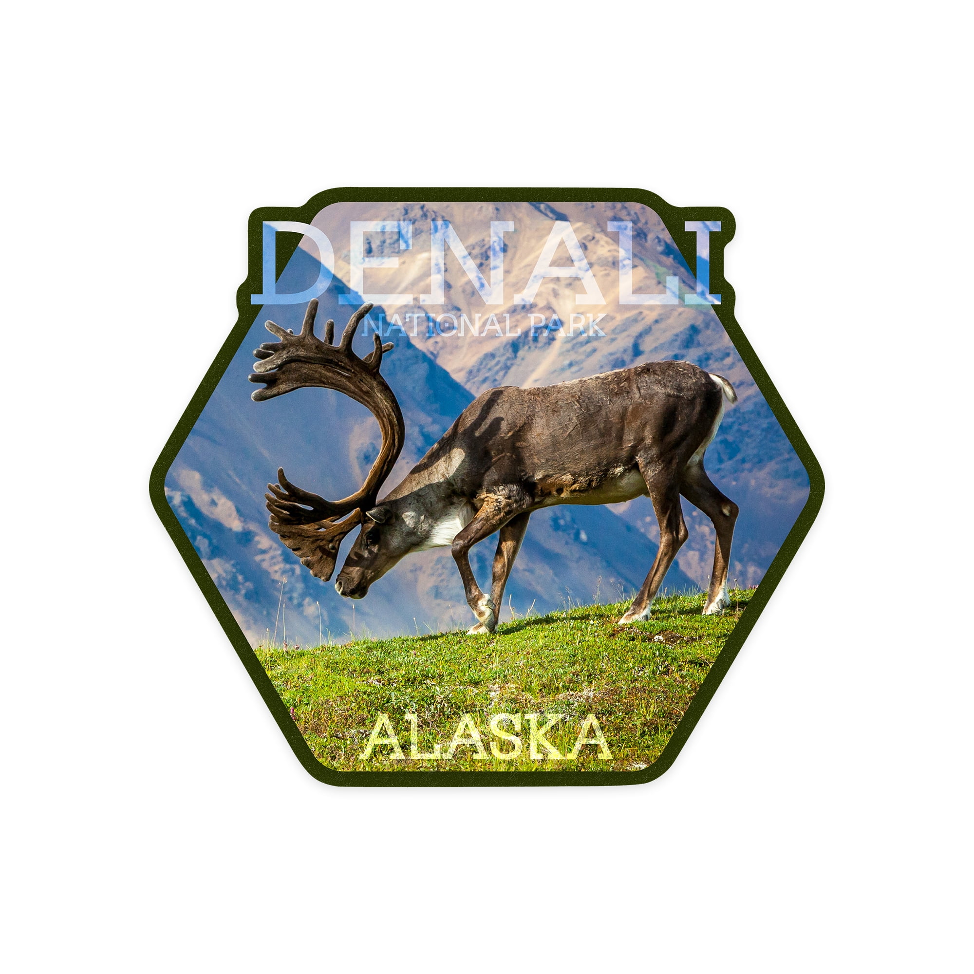 Die Cut Sticker Denali National Park, Alaska, Caribou Bull, Contour ...
