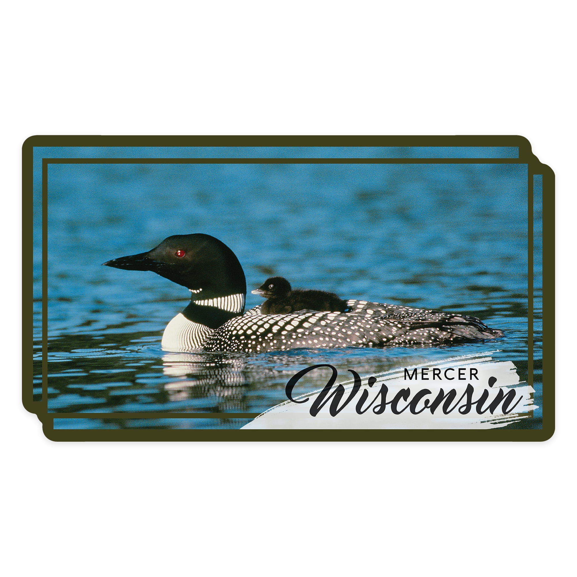 Die Cut Sticker Mercer, Wisconsin, Loon and Chick, Contour Vinyl ...