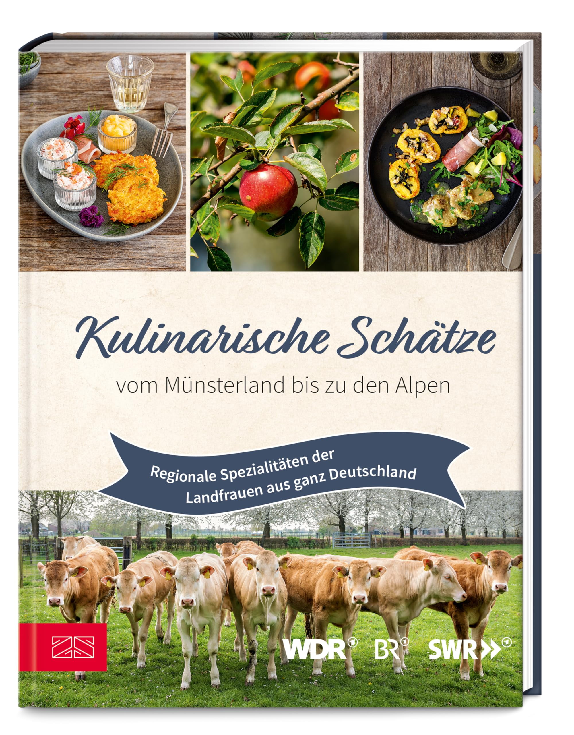 Die Landfrauen Kulinarische Schätze vom Münsterland bis zu den Alpen: Regionale Spe (Hardcover ...