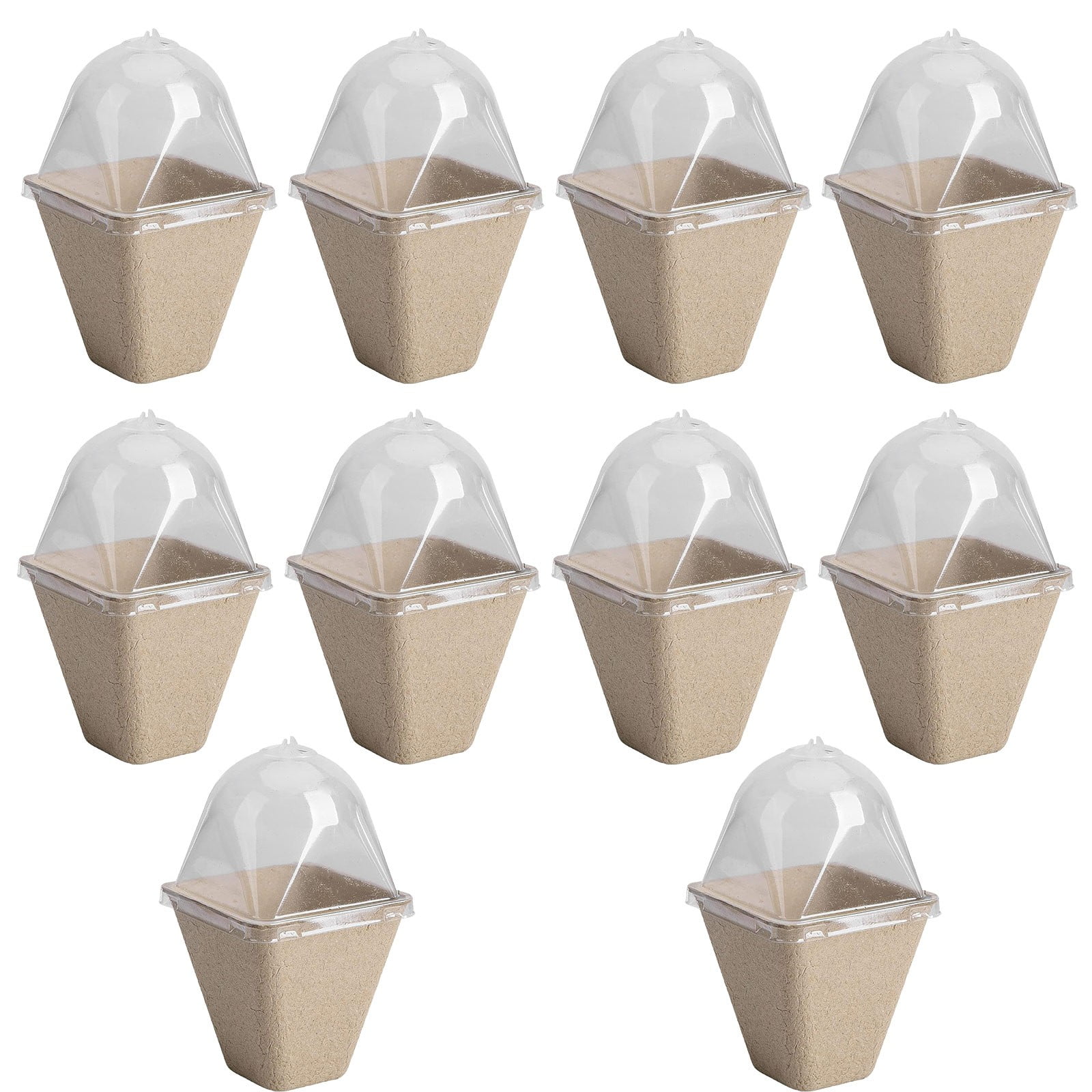 Dienrx Seedling Box, Biodegradable Nursery Pots with Humidity Dome 3.1 ...