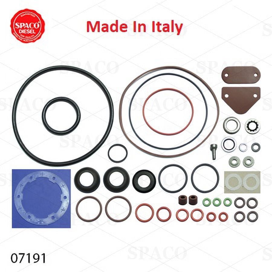 Diesel Injection Pump Kit For Stanadyne Roosa Master Injection Pump 33814 DB2 24373 - Walmart.com