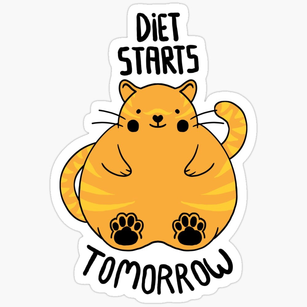 Diet Starts Tomorrow - Blue Sticker Phone Decal Water Bottle Stickers ...