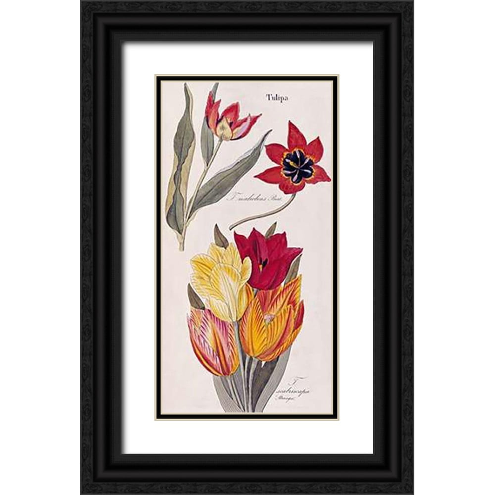 Dietrich, David Nathaniel 9x14 Black Ornate Wood Framed with Double ...