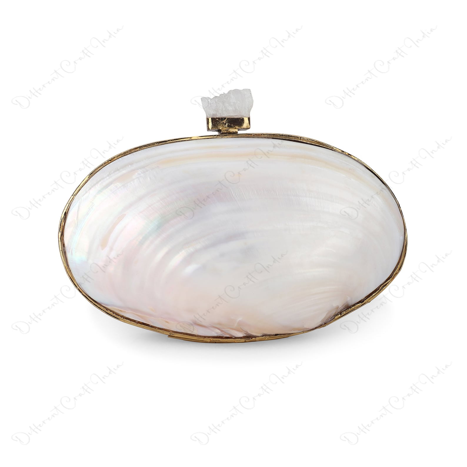 Different Craft India Natural handcrafted Sea shell clutch bag, clam ...