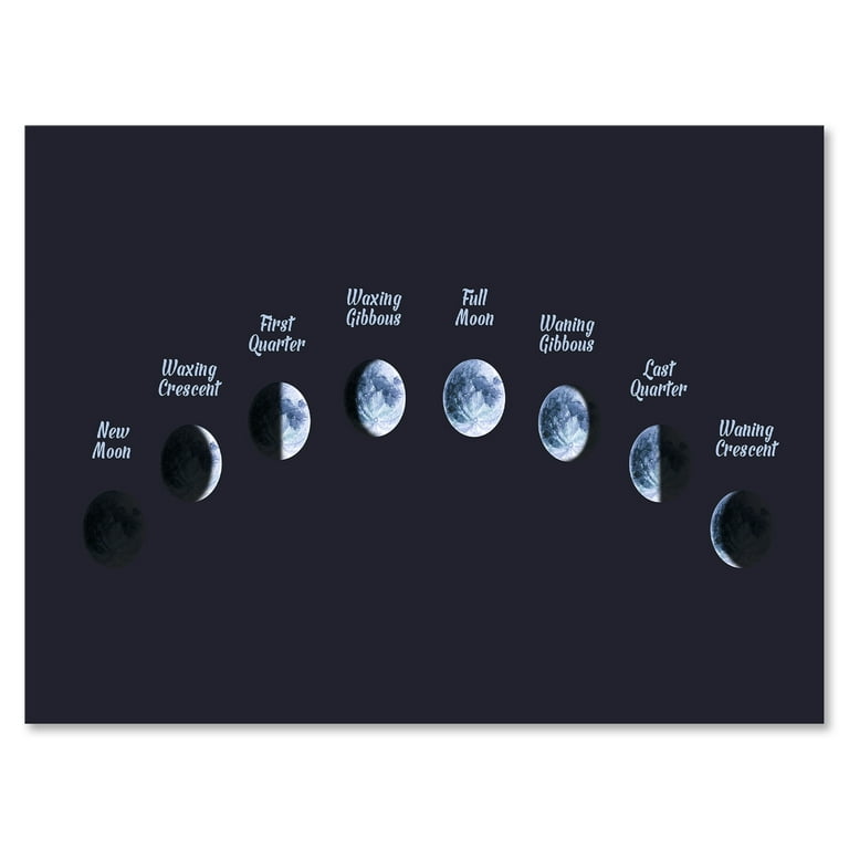Moon Phases Design Moon Phases Vertical Moon Phases Posters And