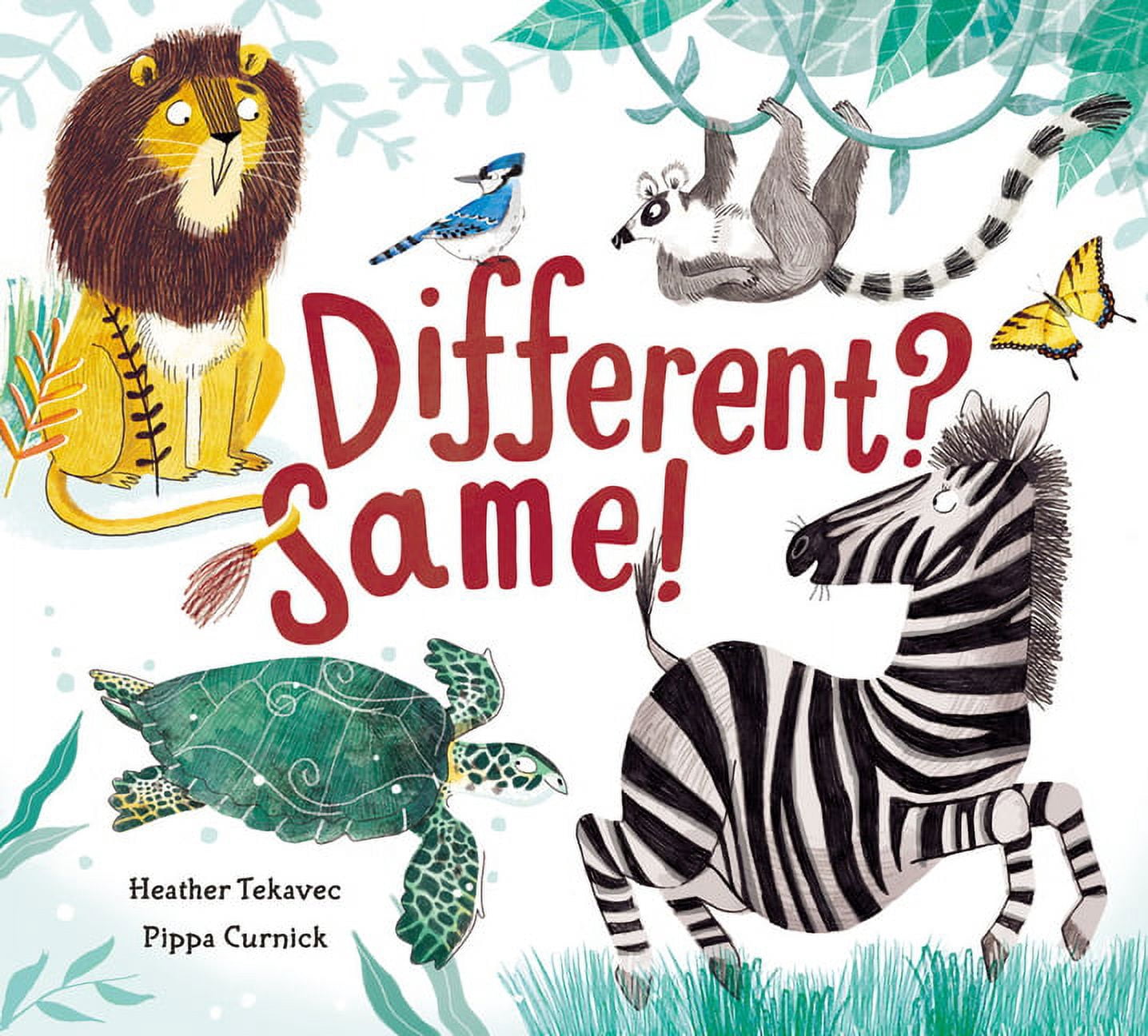 Different? Same!, (Board Book) - Walmart.com