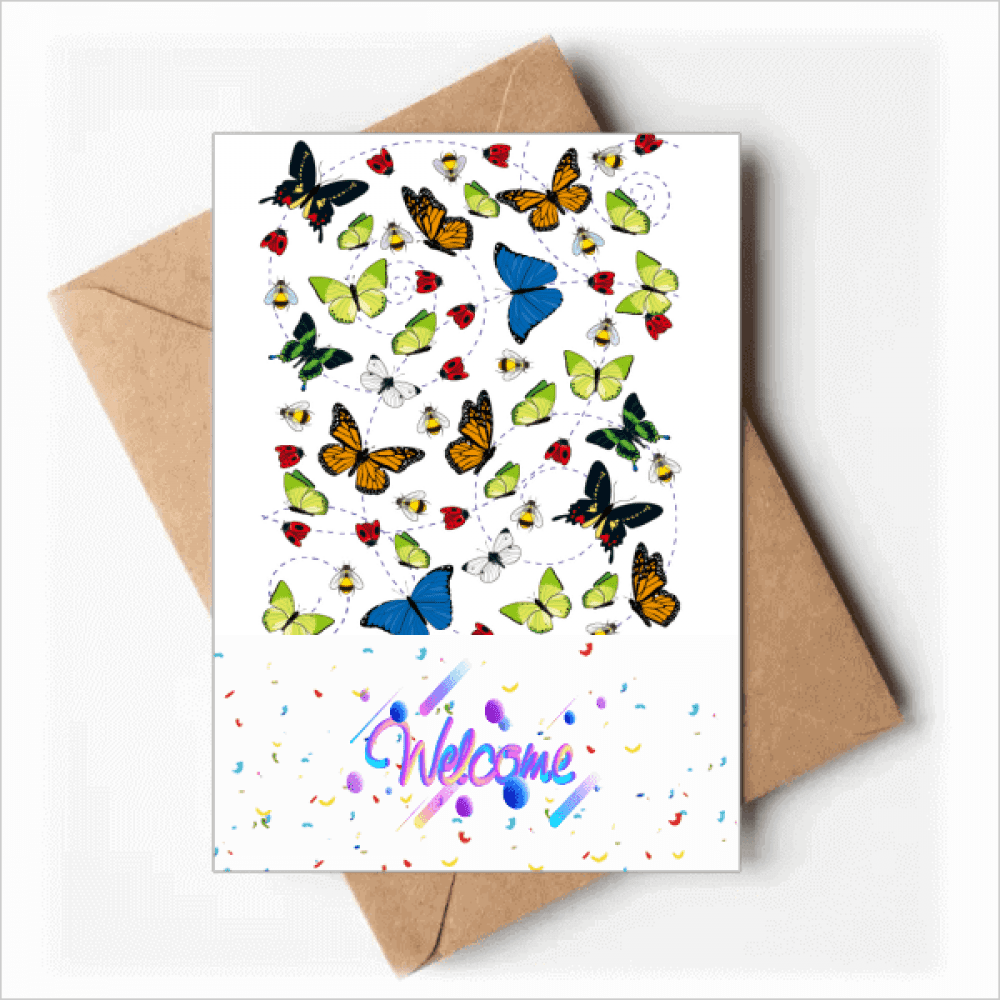 Different Sizes of Flying Welcome Back Greeting Cards Envelopes Blank ...