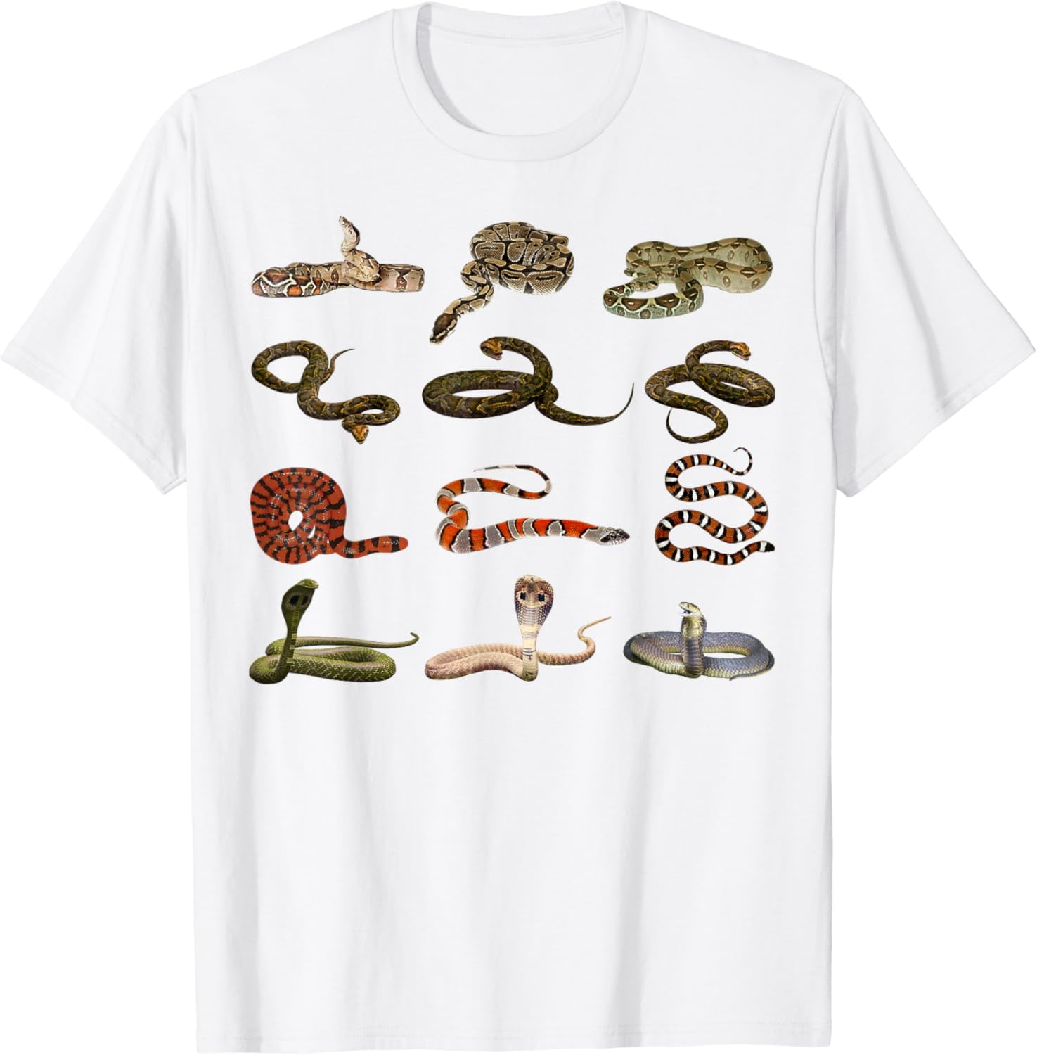 Different Types Of Snakes Boys Girl Educational Serpent T-Shirt ...