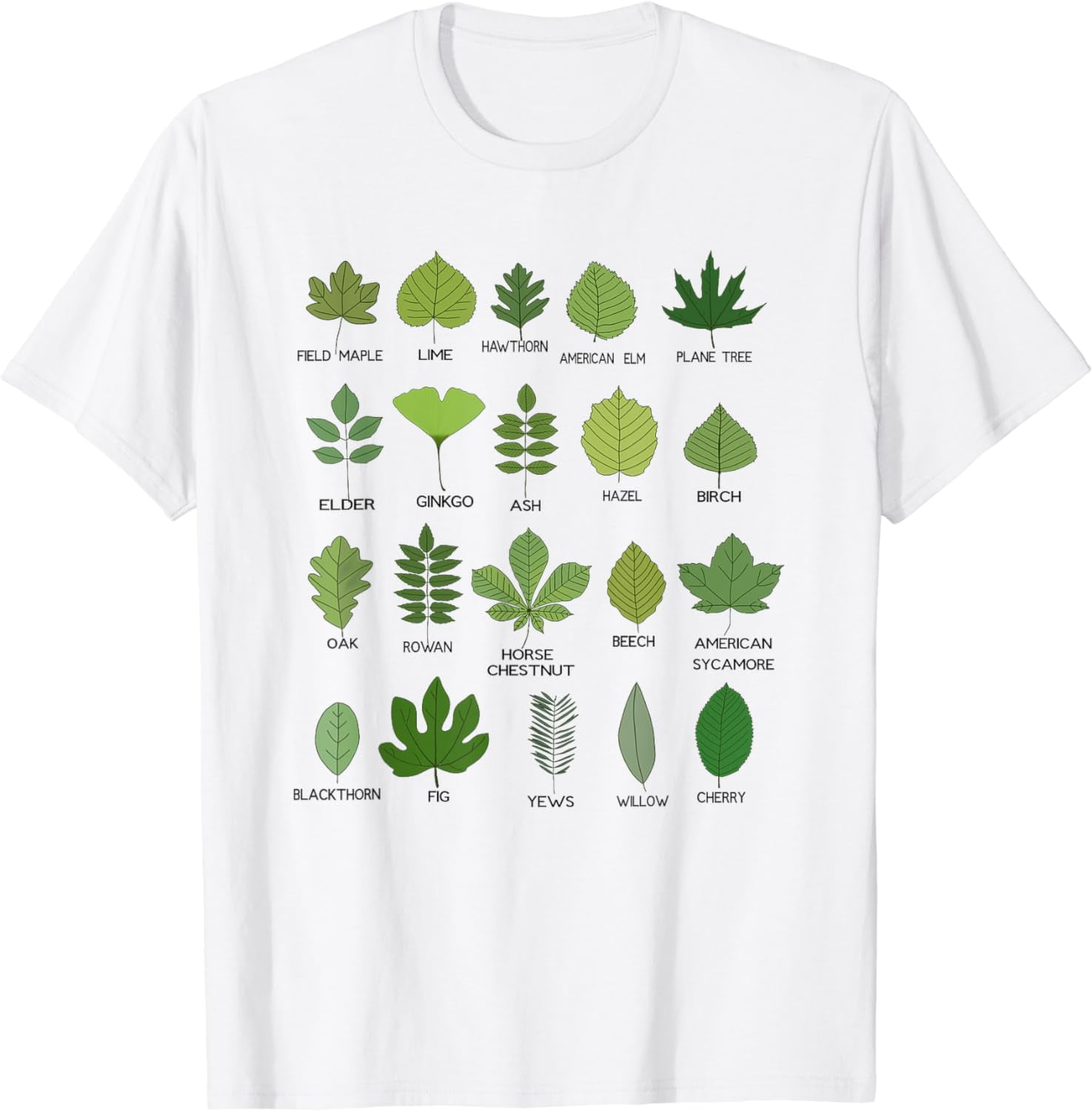 Different Types of Tree Leaves, Common Leaves, Nature Lovers T-Shirt ...