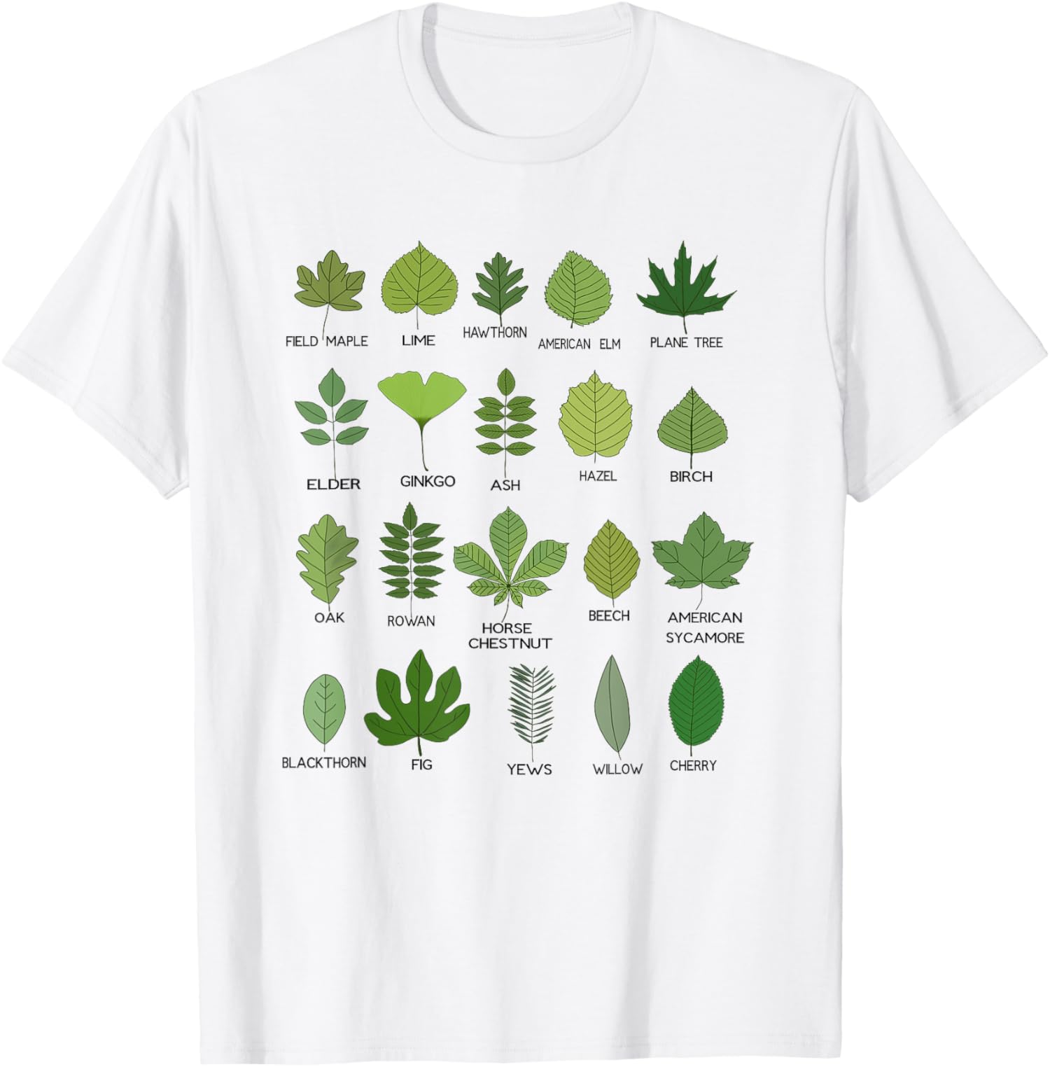 Different Types of Tree Leaves, Common Leaves, Nature Lovers T-Shirt ...