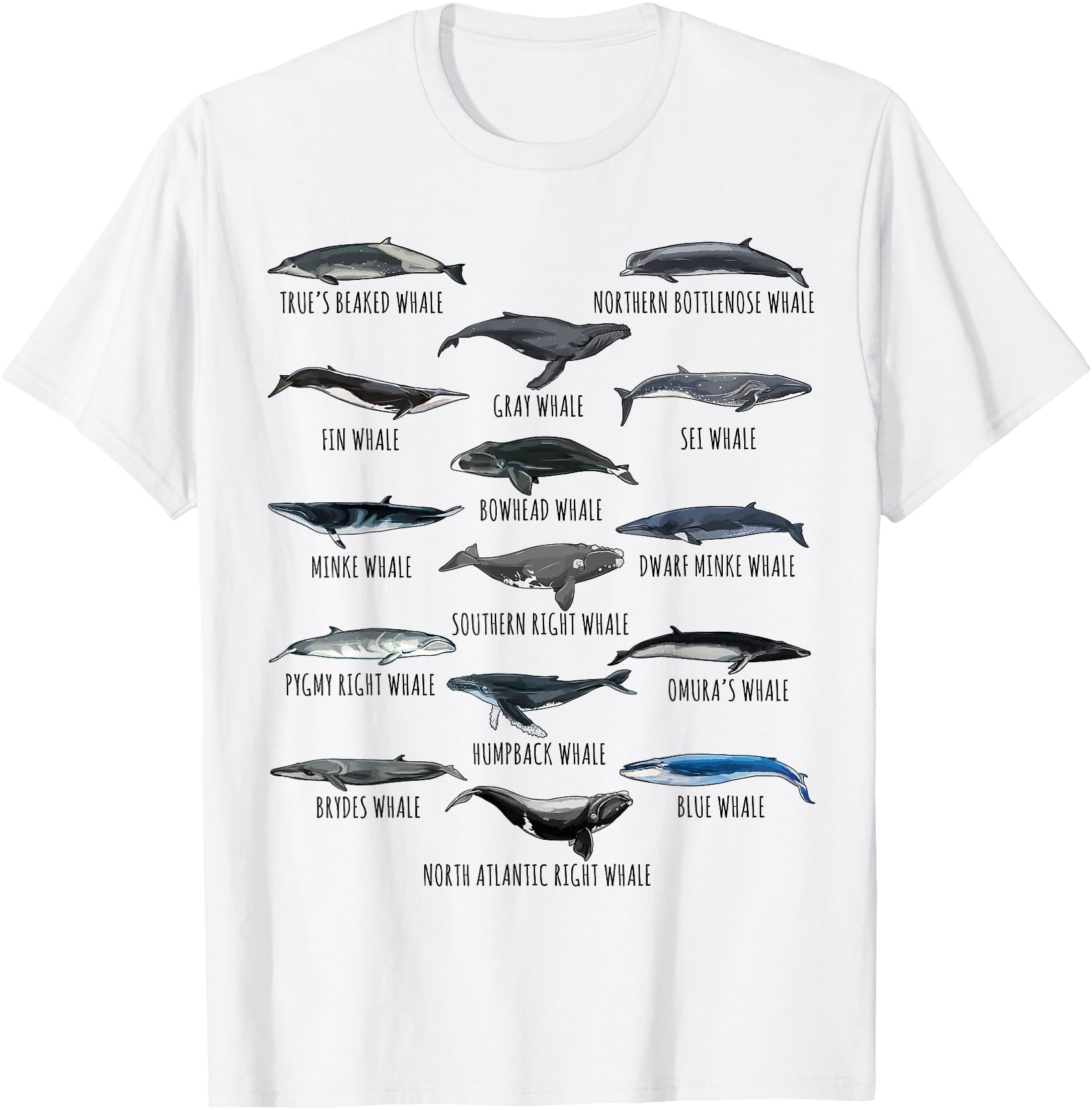 Different Whale Species Biology Types Of Whales T-Shirt for Men Women ...
