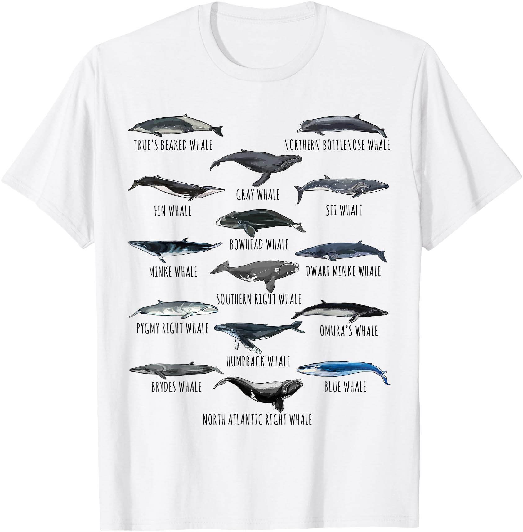 Different Whale Species Biology Types Of Whales T-Shirt for Men Women ...