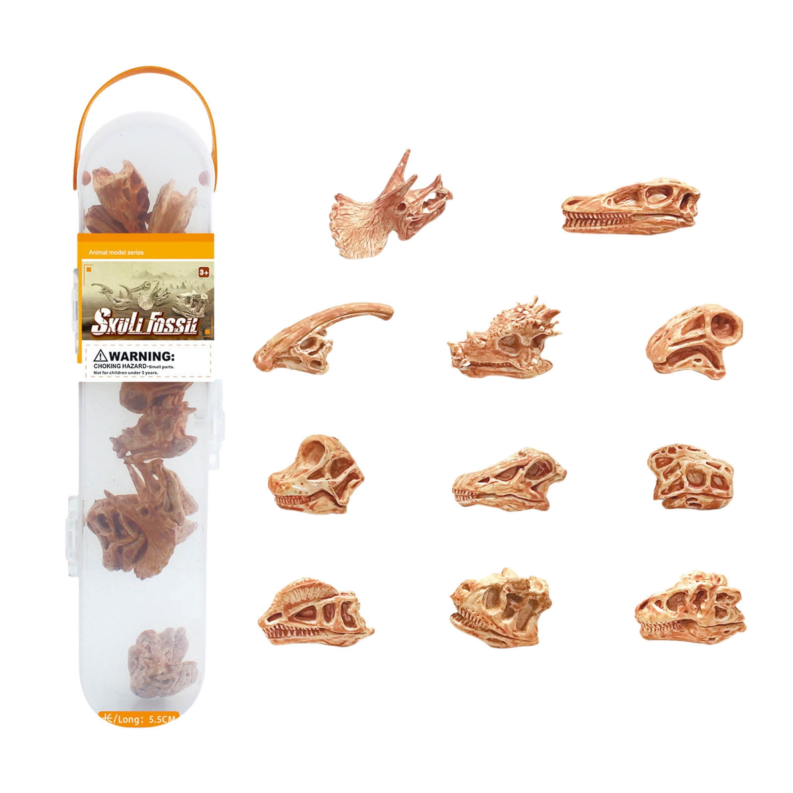 Differing Abilities Early Readers Books about Animals Slough Reclaiming ...