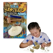 I Dig It! Dinos - T. Rex Tooth Excavation Kit - Walmart.com