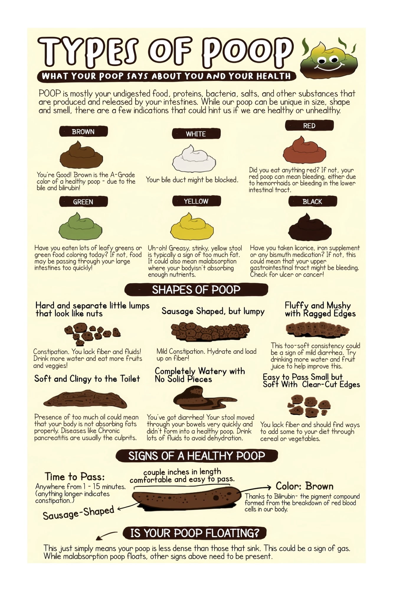 Digestive Health Bristol Stool Chart Laminated Poster Medical Reference ...