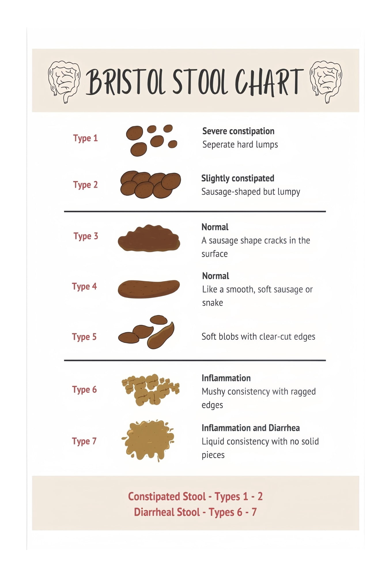 Digestive Health Poster Bristol Stool Chart Bowel Movement Reference ...