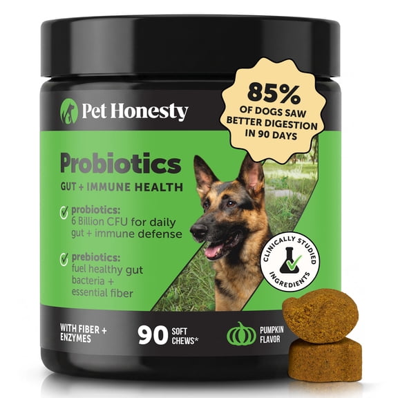 Native Pet Probiotic Powder for Dogs, Digestive Support, Bone Broth ...