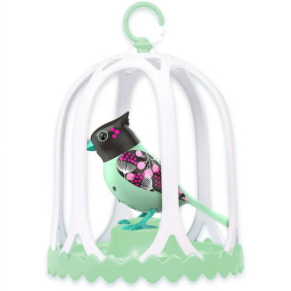 DigiBirds - Bird with Bird Cage - Black & Pink - Walmart.com
