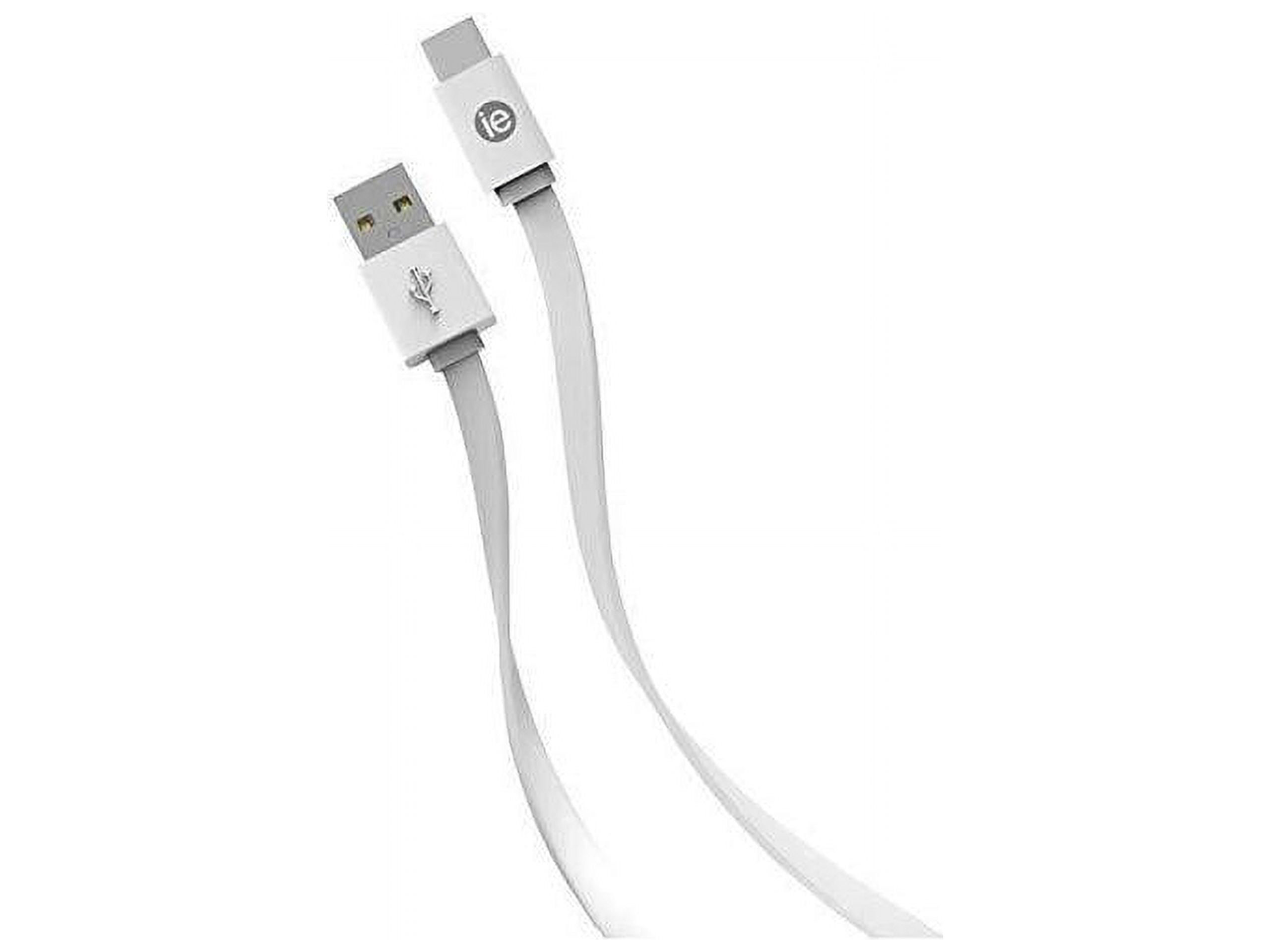 DigiPower IEN-FC4C-WT White USB C to USB A Cable - Walmart.com