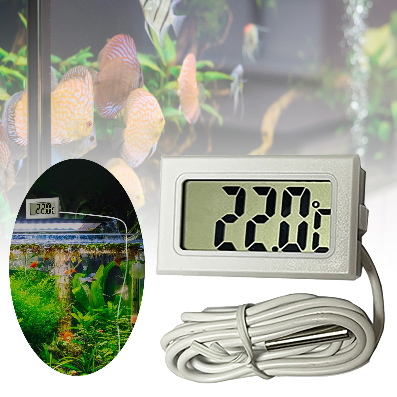 Digital Aquarium with External Probe for Precise Water Temperature in ...