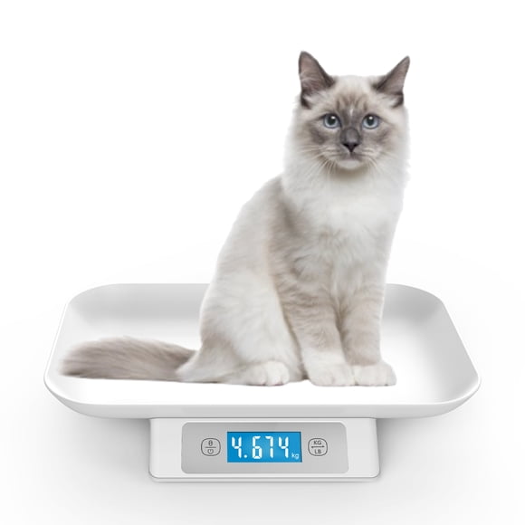 Baby Scales in Health & Safety - Walmart.com