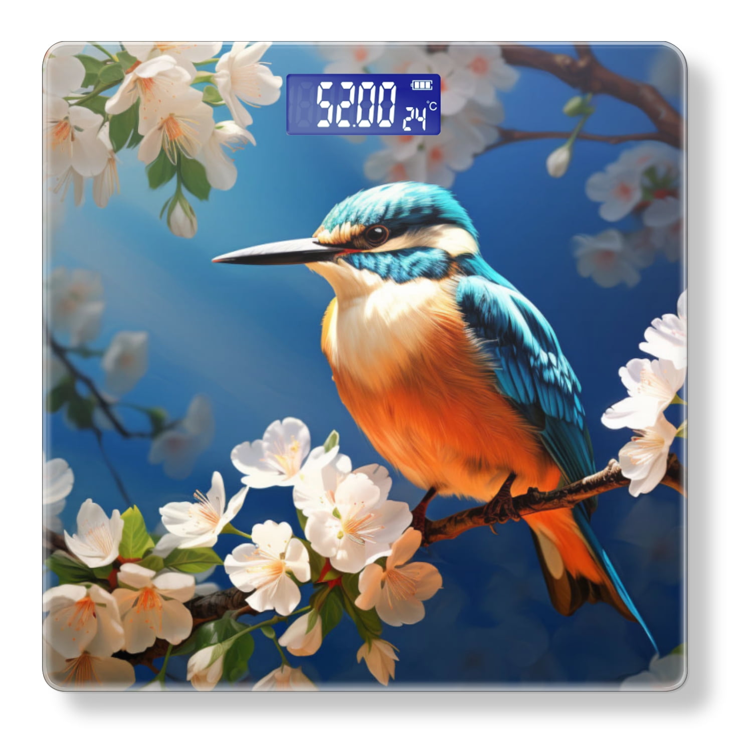 Digital Bathroom Scale with Large LCD Display,High Capacity Scale 400 ...