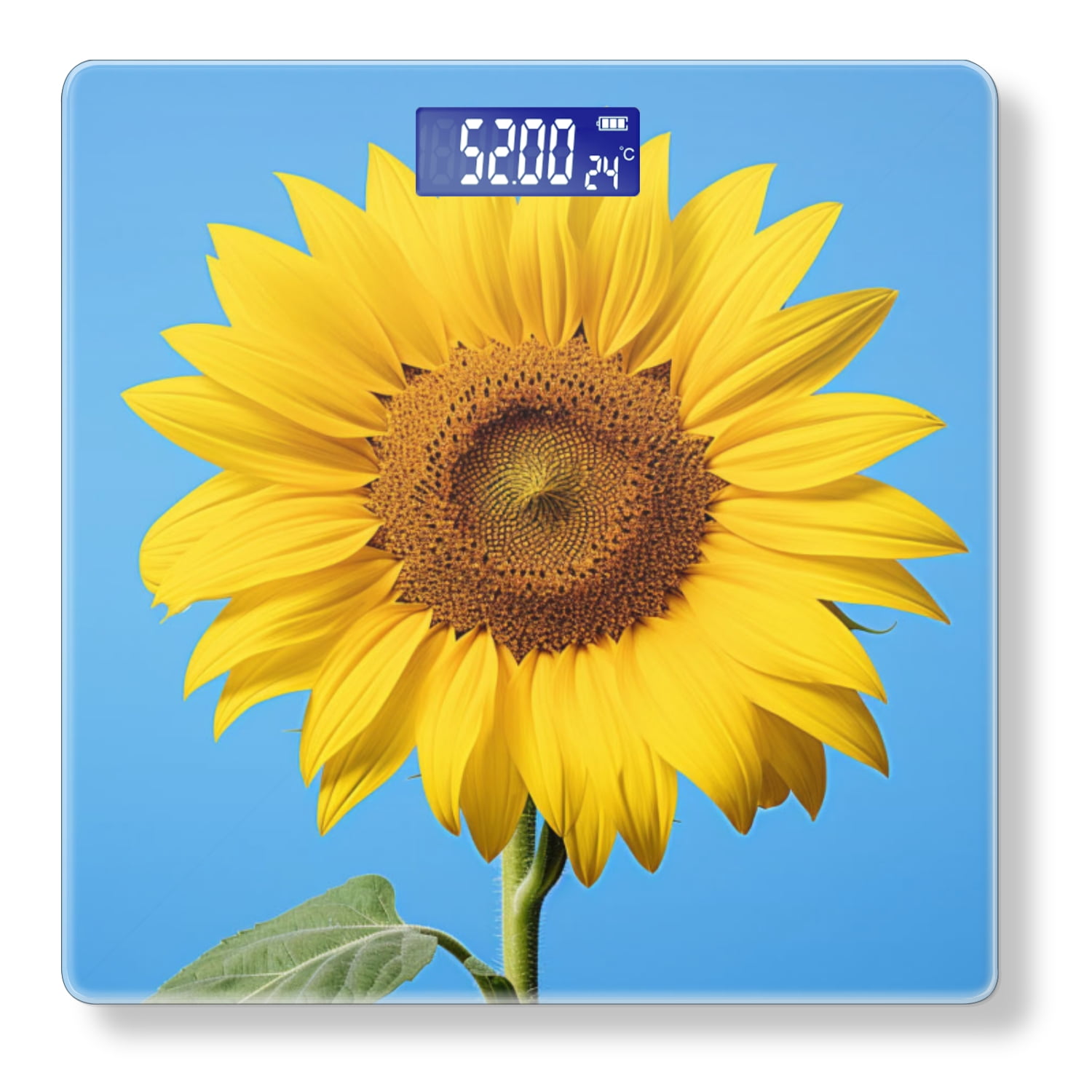 Digital Bathroom Scale with Large LCD Display,High Capacity Scale 400 ...