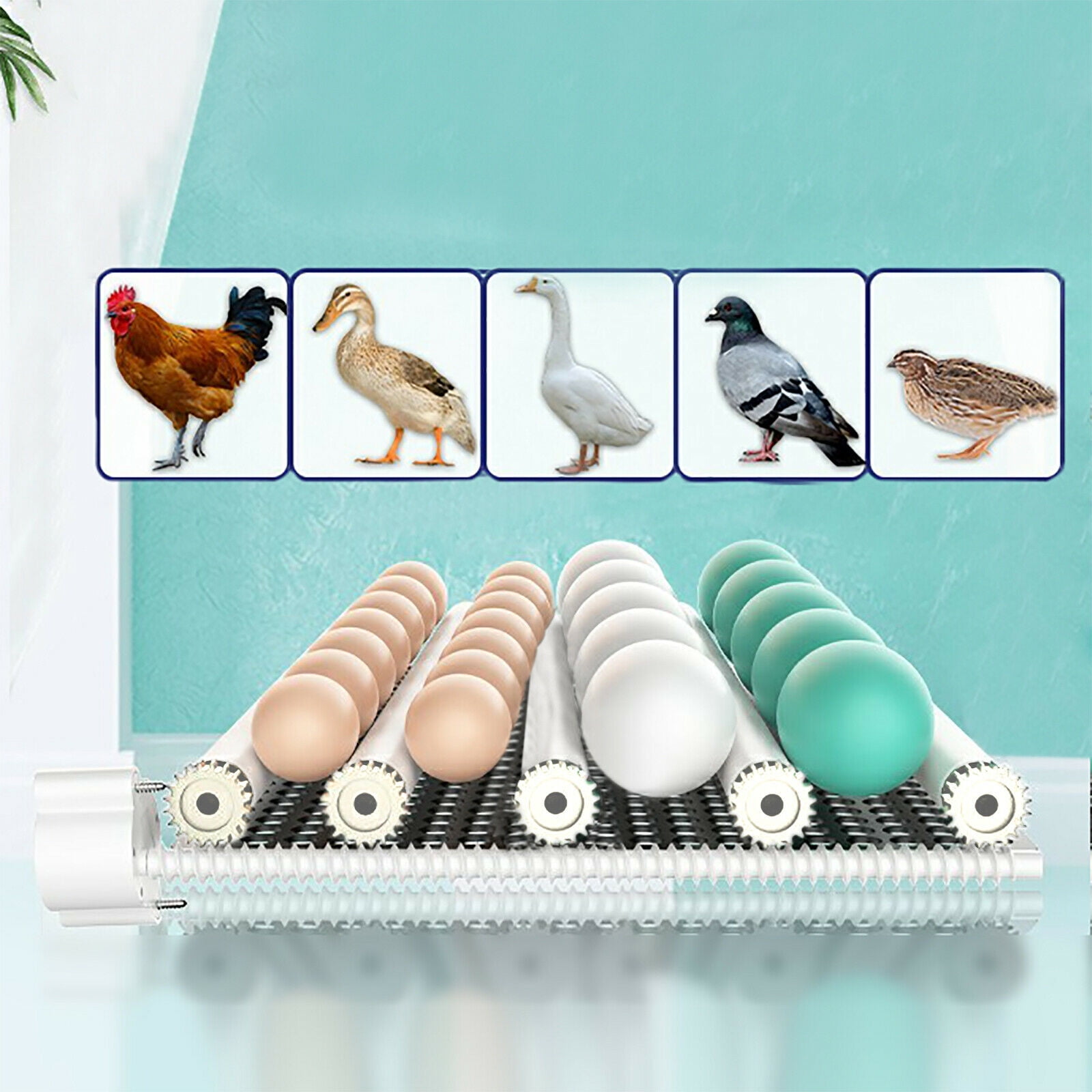 Portable Mini Digital Poultry Hatcher Machine 24 Eggs Hatcher Digital ...