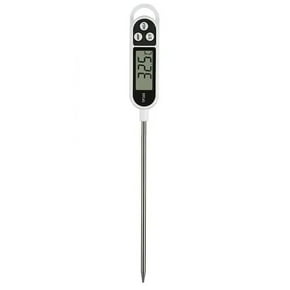 Digital Water Thermometer
