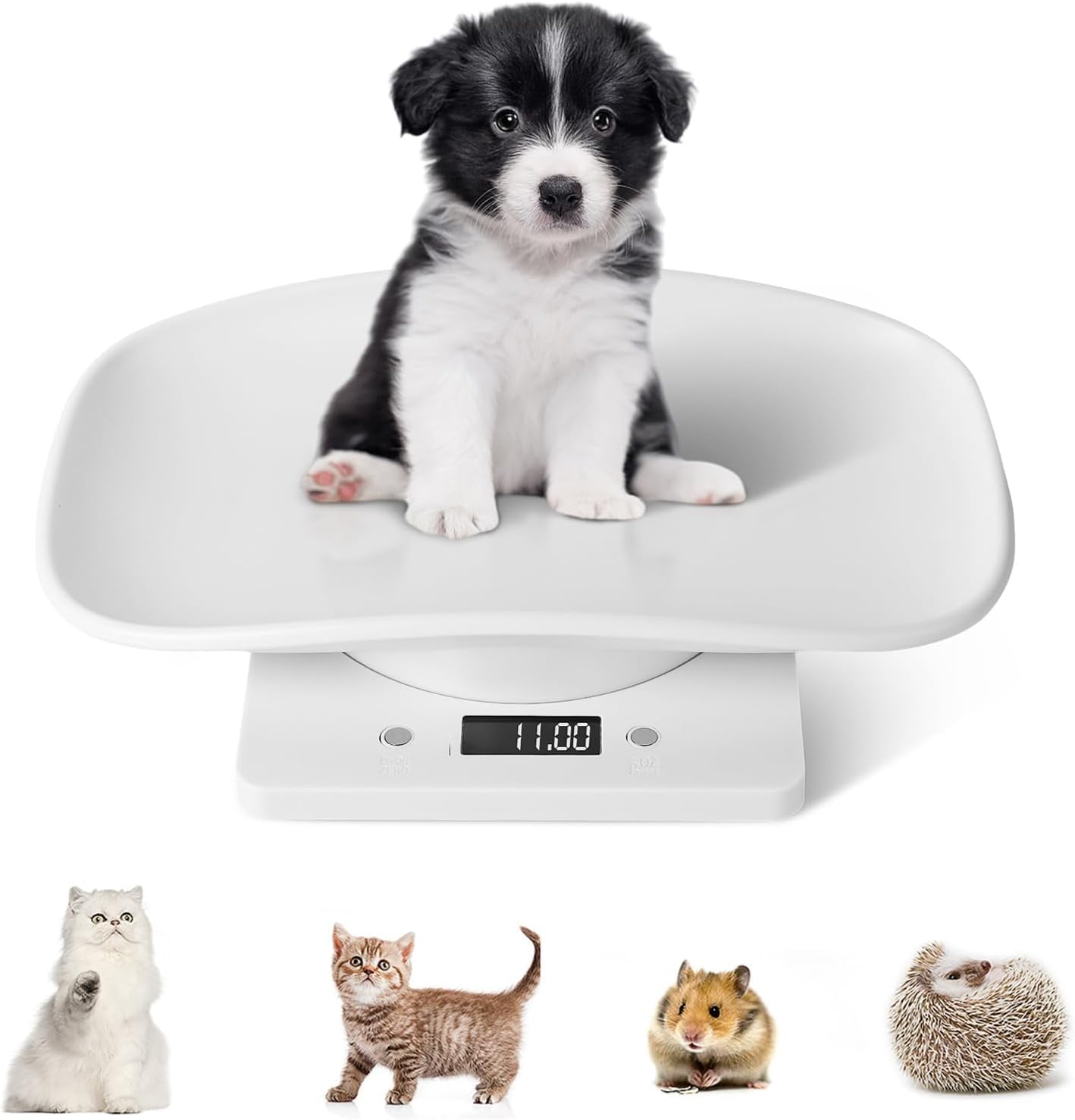 Digital Pet Scale Cat Scale Food Weight Mini Scale LCD Electronic ...