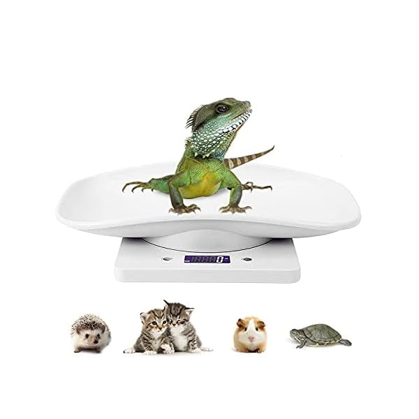 Digital Pet Scale LCD Electronic Small Animals Weighing Scale, Kitchen ...