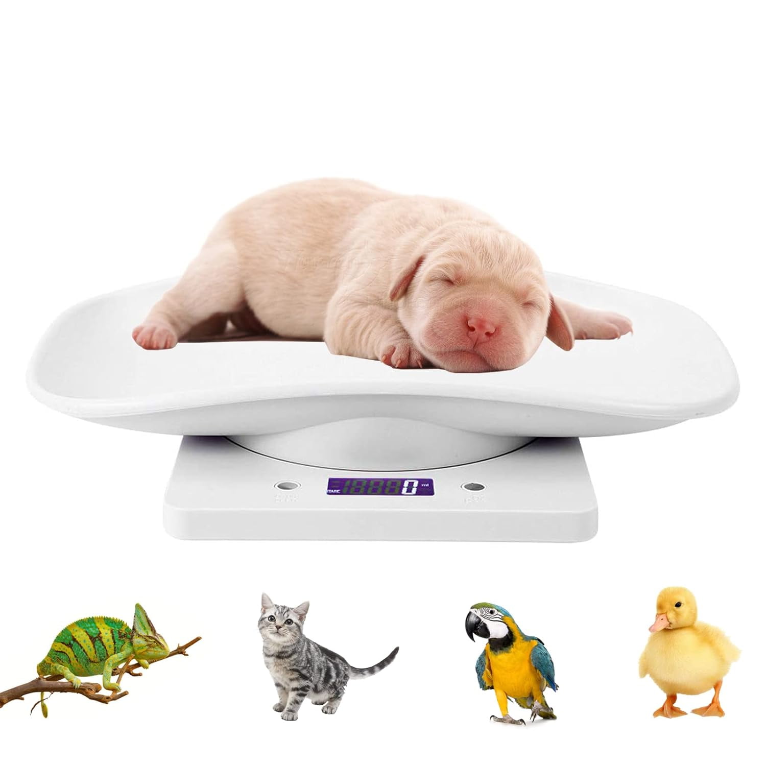 Digital Pet Scale, Portable LCD Electronic Weighing Scale with Tray(Max ...
