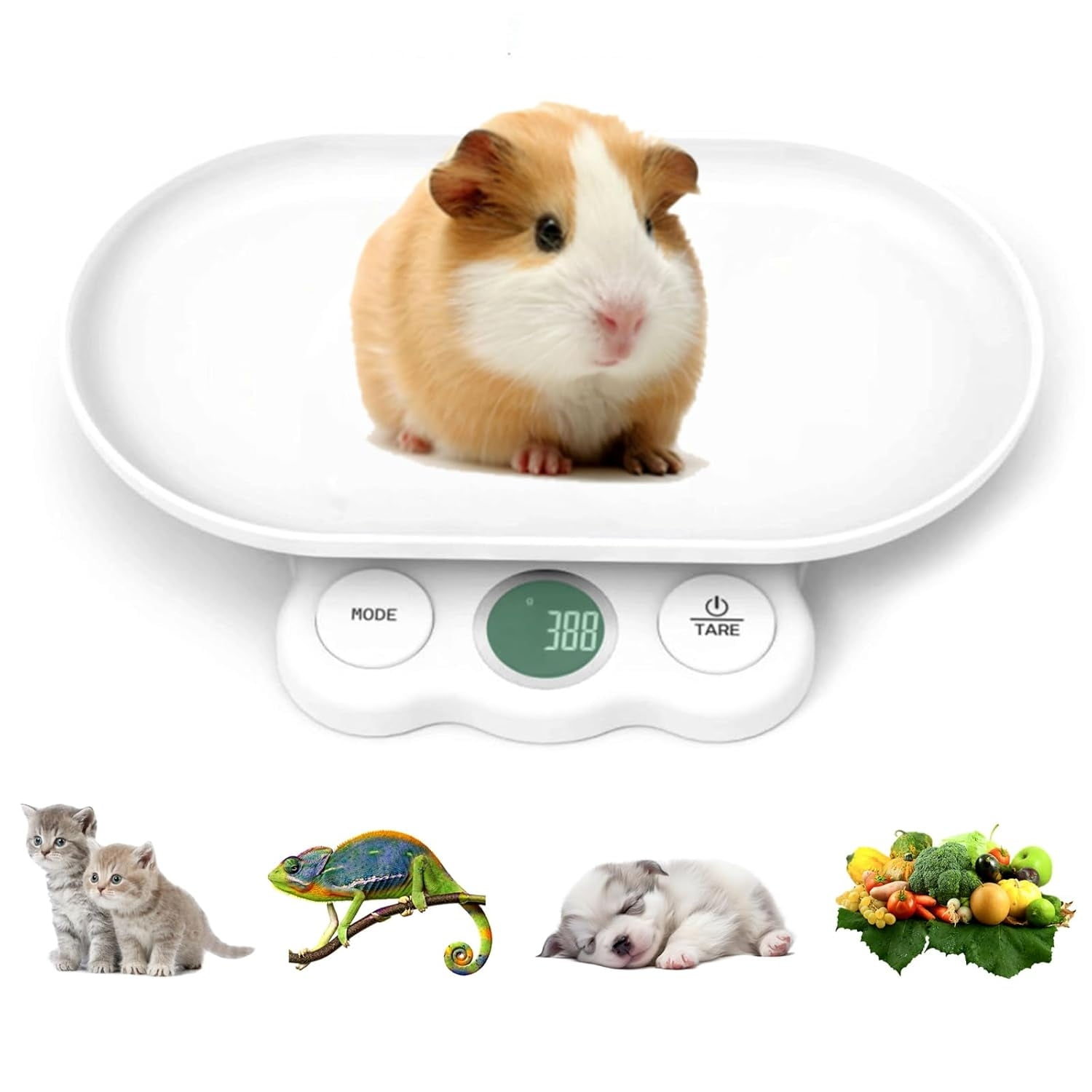 Digital Pet Scale For Small Animal, Mini Precision Gram Reptiles Weight ...