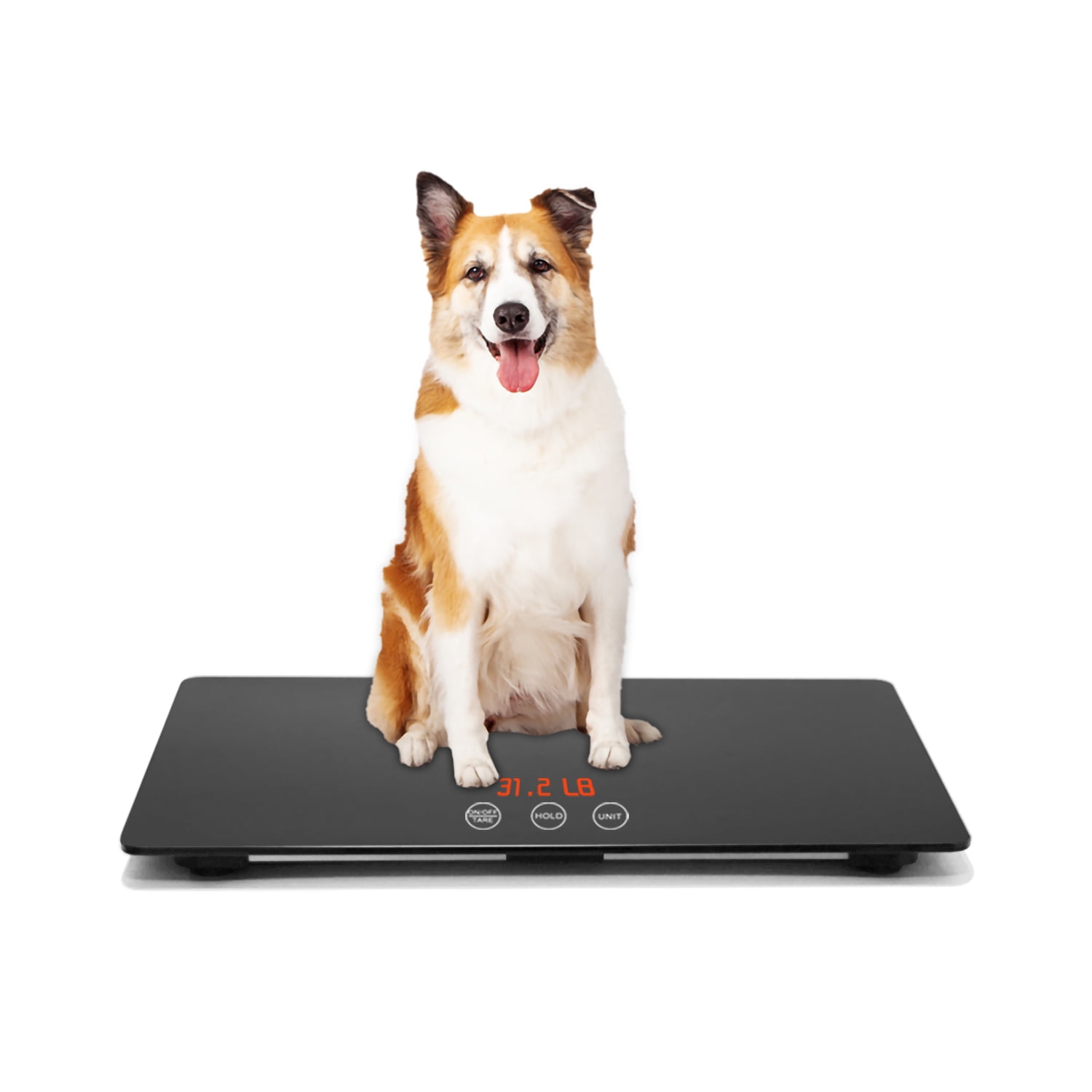 Digital Pet Scale for Dogs,25.6 X 17.7inchs,Max 220 lbs, Animal Scale ...