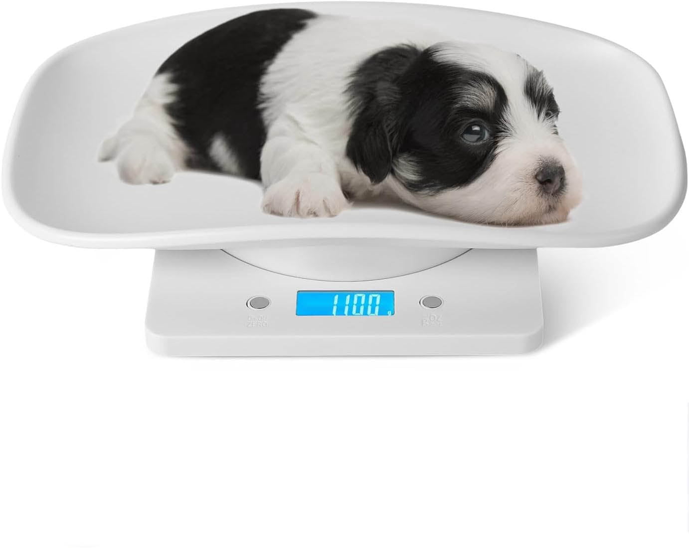 Digital Pet Scale for Weighing Small Animals, Capacity up to 33 lb ...