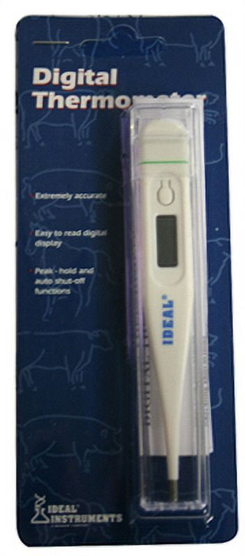 Digital Vet Thermometer Quick Reading Beeps When Ready & Displays Digi ...