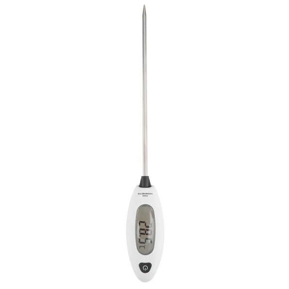 Digital Water Thermometer